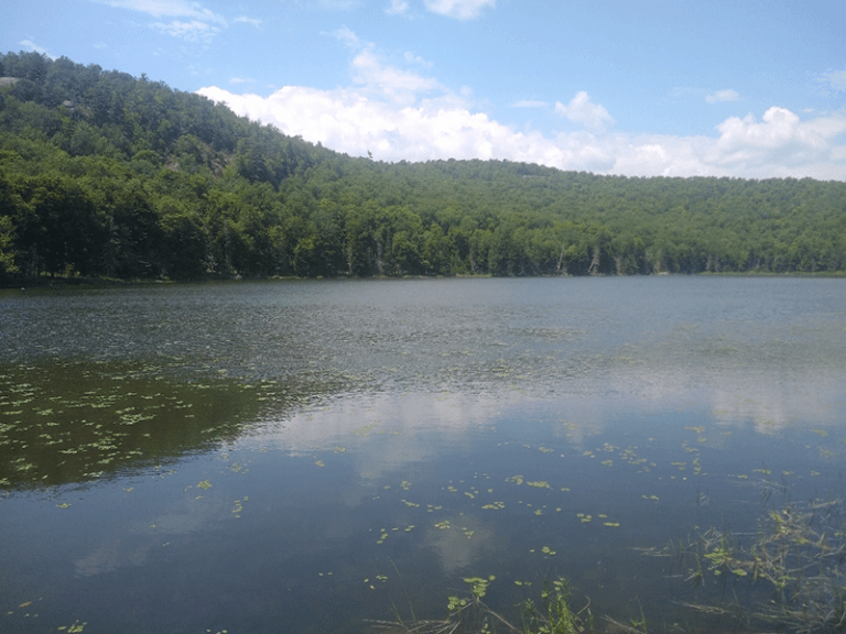 Hike John Pond - Protect the Adirondacks!