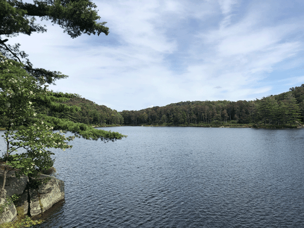 Middle Settlement Lake - Protect the Adirondacks!
