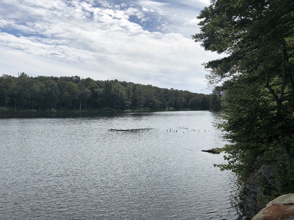 Middle Settlement Lake - Protect the Adirondacks!