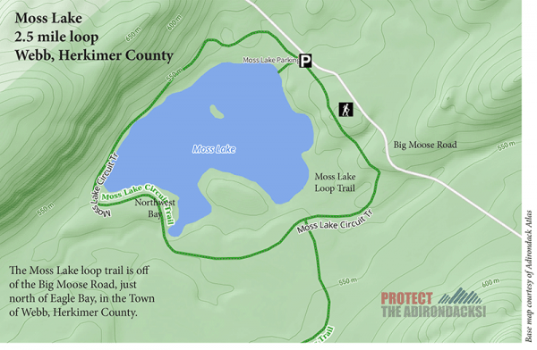 Moss Lake - Protect the Adirondacks!