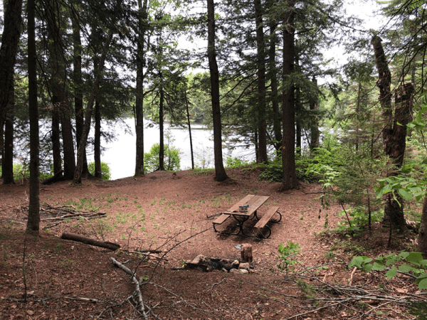 Pine Lake - Protect the Adirondacks!