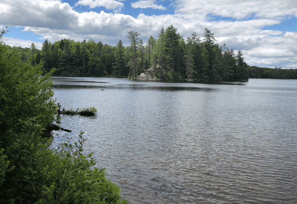 Pine Lake Protect The Adirondacks