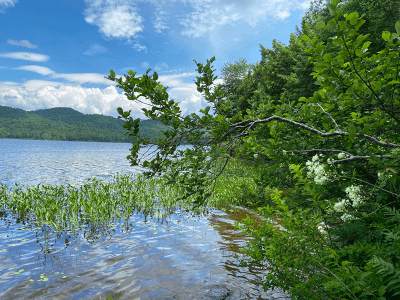 Rock Lake - Protect the Adirondacks!