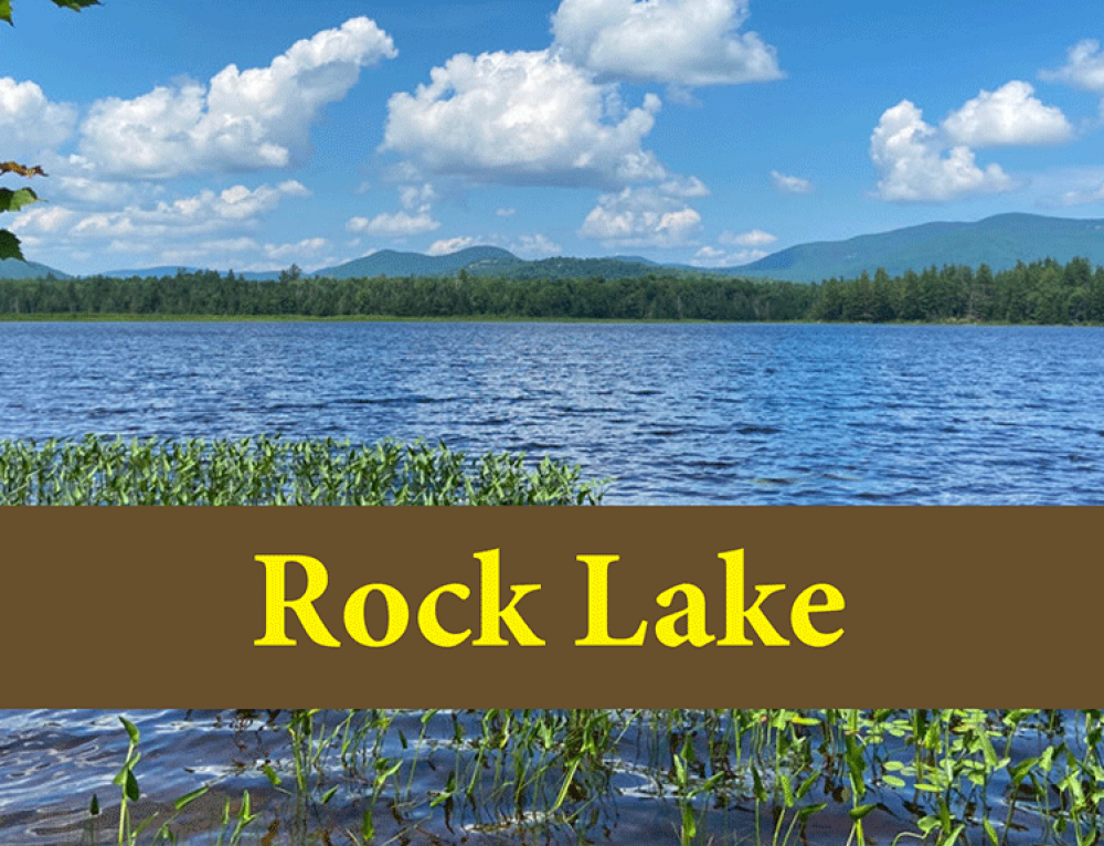 Helldiver Pond - Protect the Adirondacks!