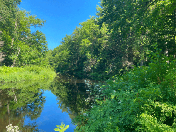 Rock River - Protect the Adirondacks!