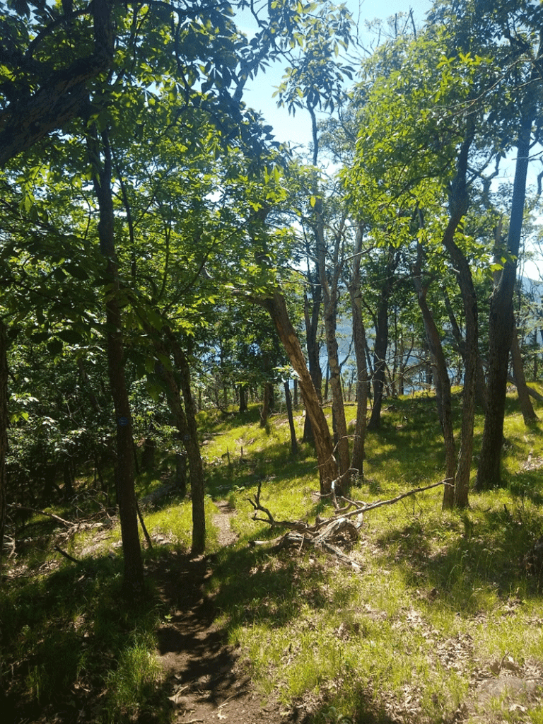 Hike Tongue Mountain - Protect the Adirondacks!