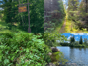 Trombley Landing - Protect the Adirondacks!