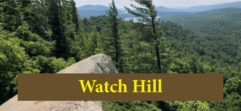 Watch Hill - Protect the Adirondacks!