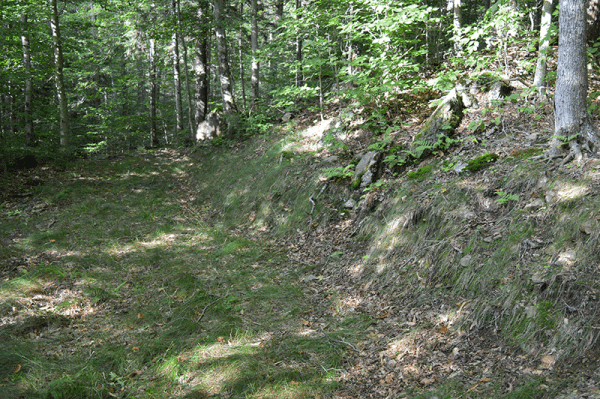 Class II Trail Construction Caused Enormous Damage to the Forest ...