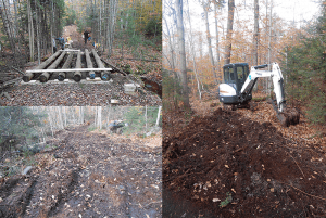 Class II Trail Construction Caused Enormous Damage to the Forest ...