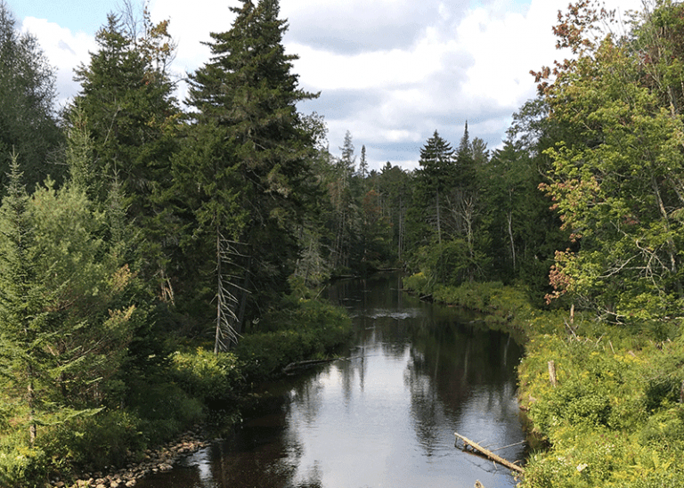 Long stretch of the South Branch of the Grasse River Protected as New ...