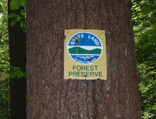 Article 14, Section 1, of the NYS Constitution, the forever wild ...