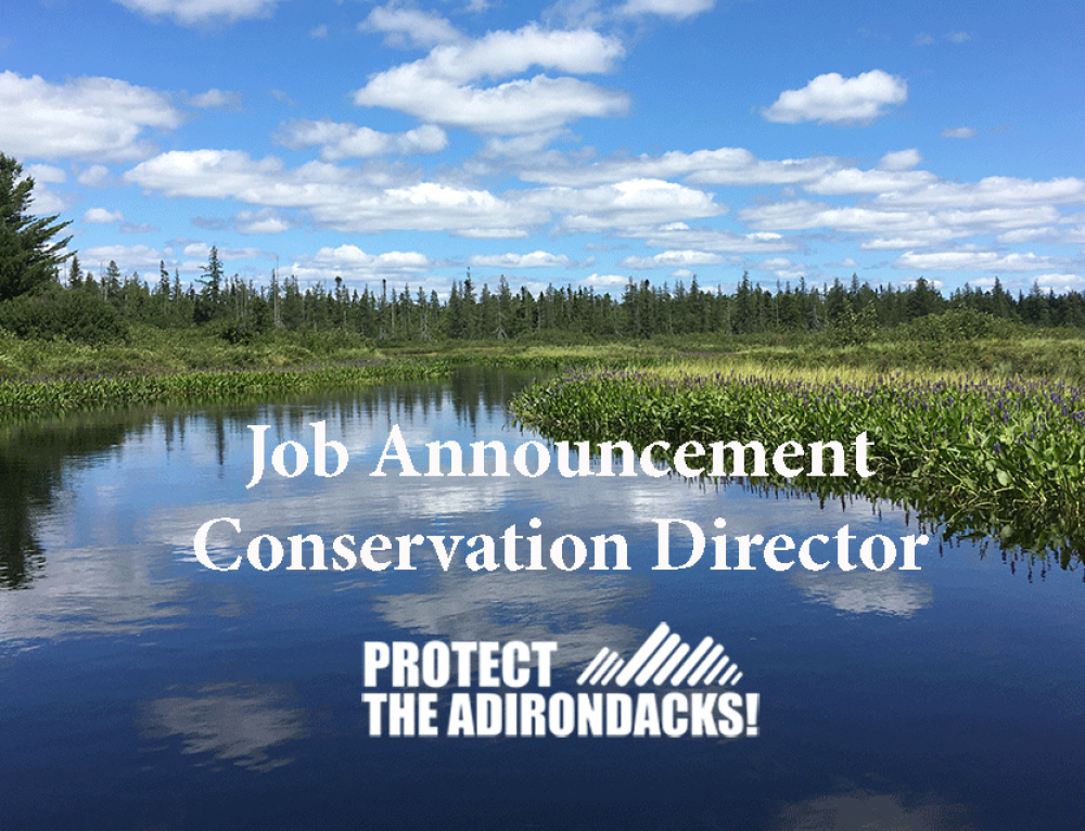 Conservation Development Design standards are badly needed for major ...