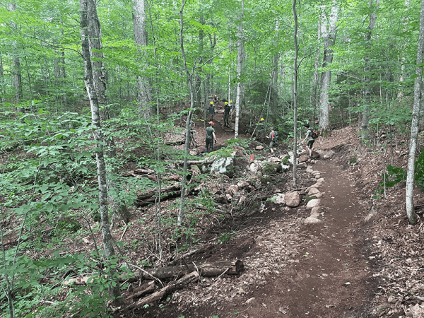 Important NYSDEC Forest Preserve Management Reforms are Underway, Part ...