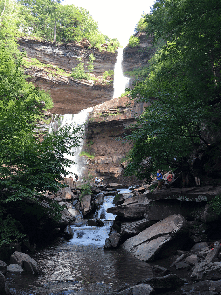 Important NYSDEC Forest Preserve Management Reforms are Underway, Part ...