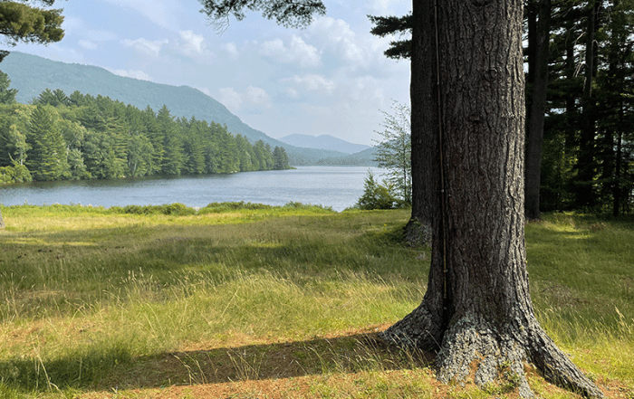 Protect the Adirondacks - Protect the Adirondacks!