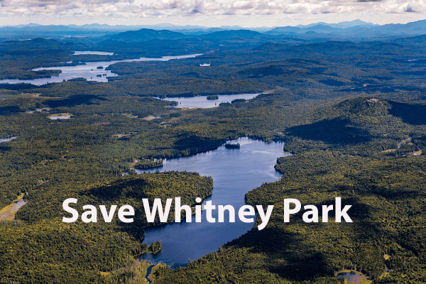 Help save Whitney Park - Protect the Adirondacks!
