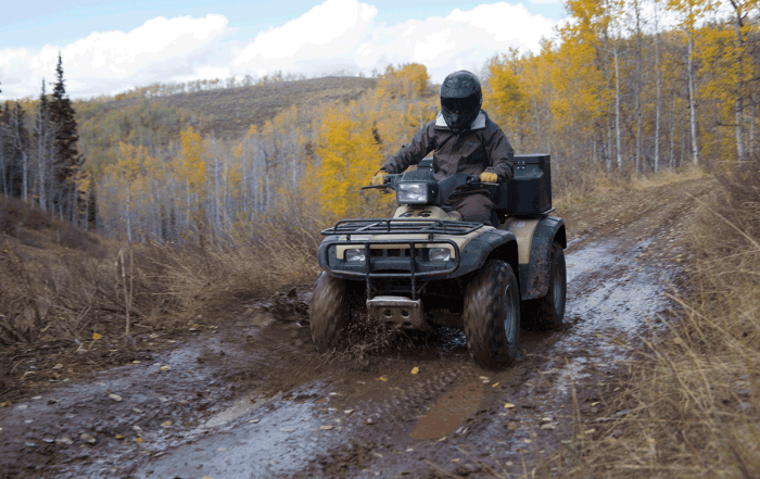 Protect the Adirondacks - Protect the Adirondacks!