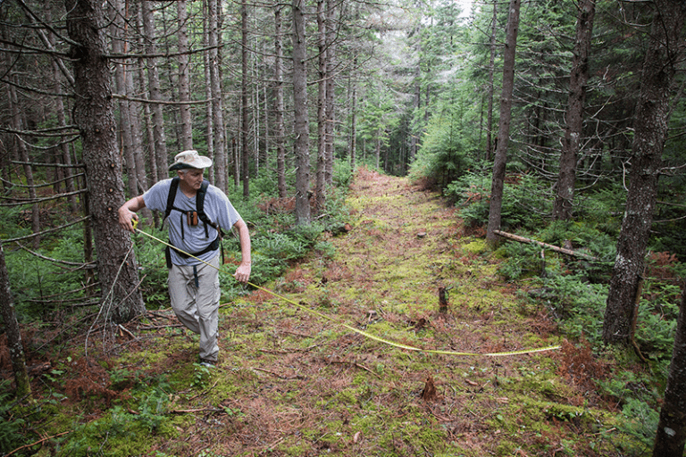 Peter Bauer steps down after 35 years of Adirondack Park conservation ...
